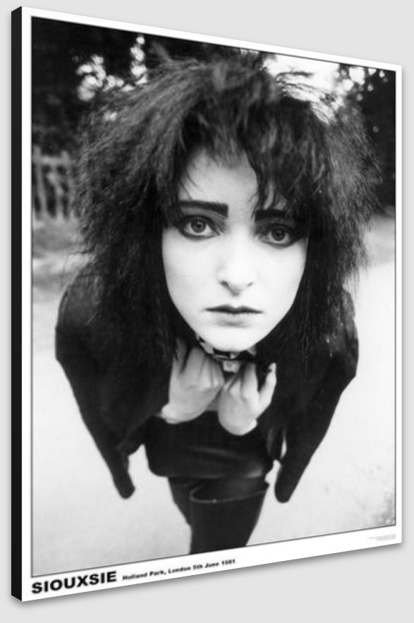 Siouxsie Sioux 1981 A1 Poster — Poster Plus Siouxsie Sioux 1981 A1 Poster — Poster Plus