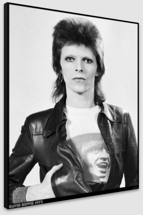 David Bowie 1973 A1 Poster — Poster Plus