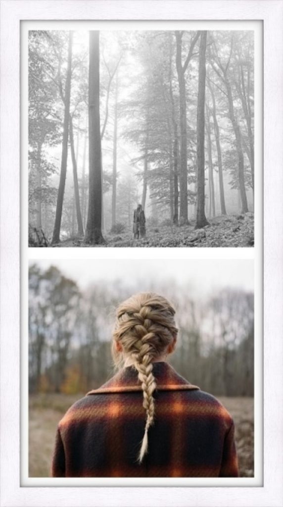 Taylor Swift Duo Folklore And Evermore Framed Album Covers — Poster Plus